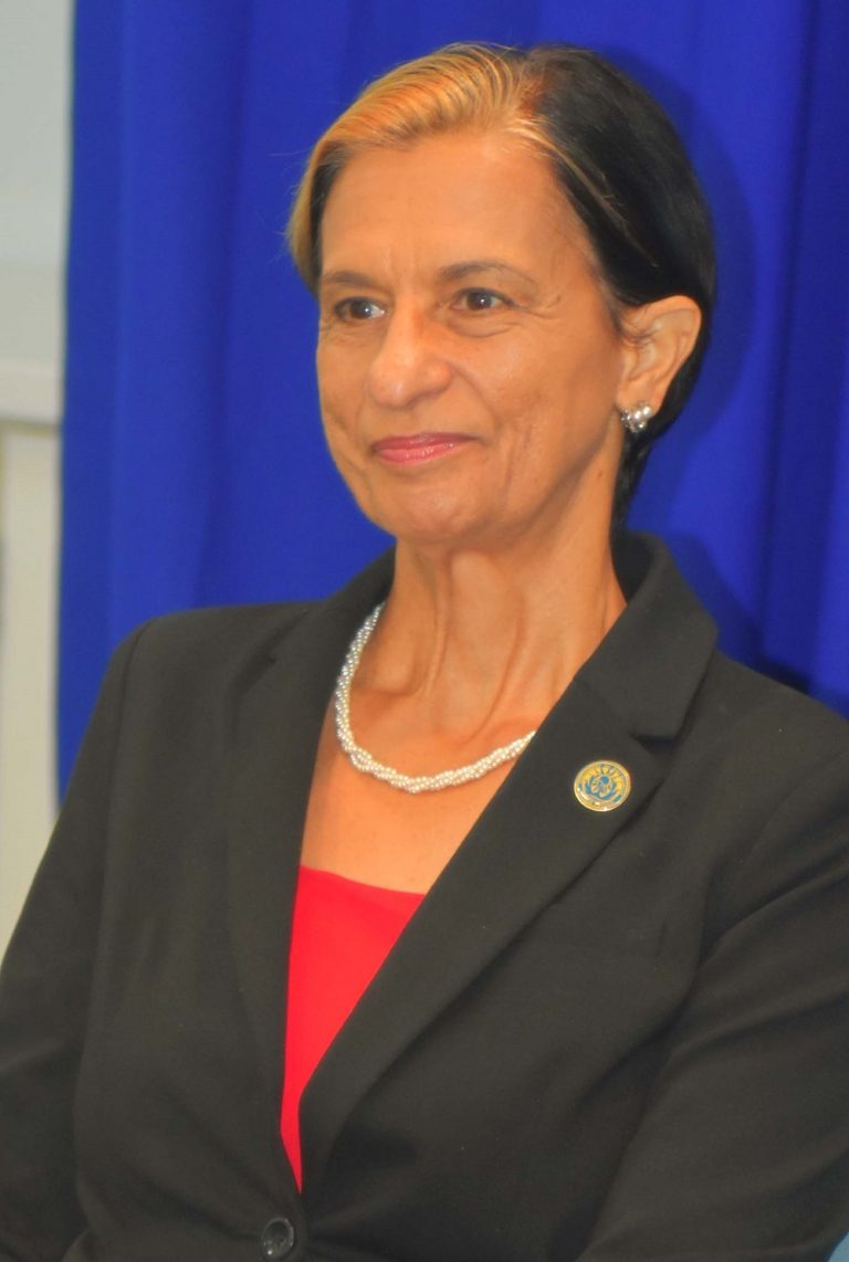 MP Wescot-Williams: Where does NESC fit in the legal organization of ...
