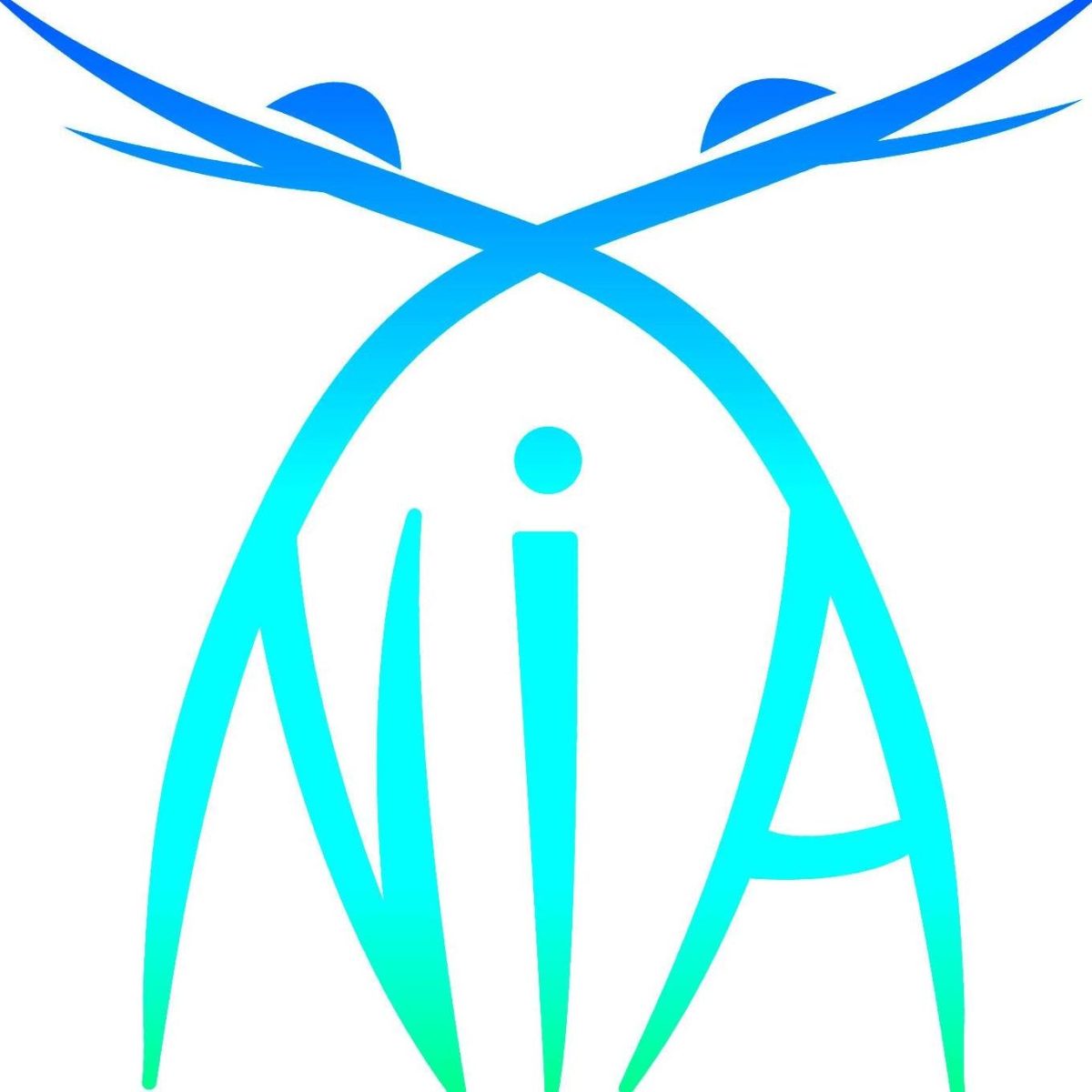 The Prins Bernhard Culture Fund awards NIA for its efforts in the ...